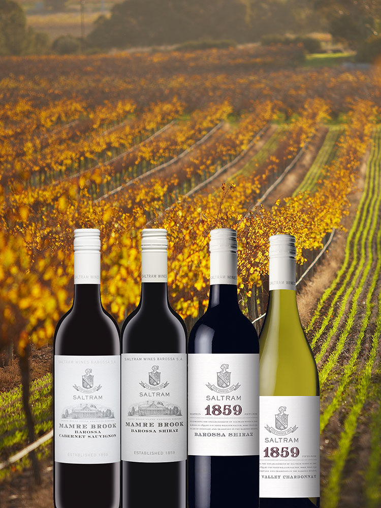 Saltram Wines | Barossa Valley Since 1859