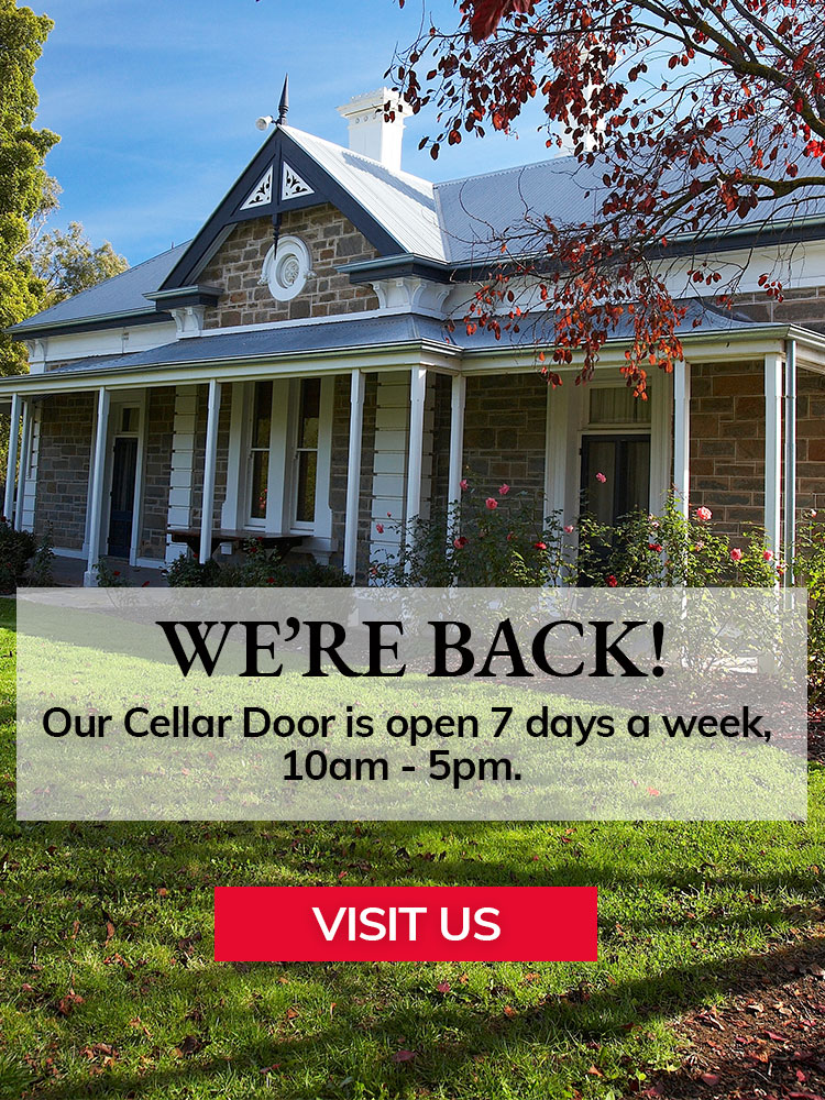 Saltram Wines | Barossa Valley Since 1859